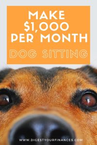 How To Make $1,000 A Month Dog Sitting And Dog Walking - Digest Your ...